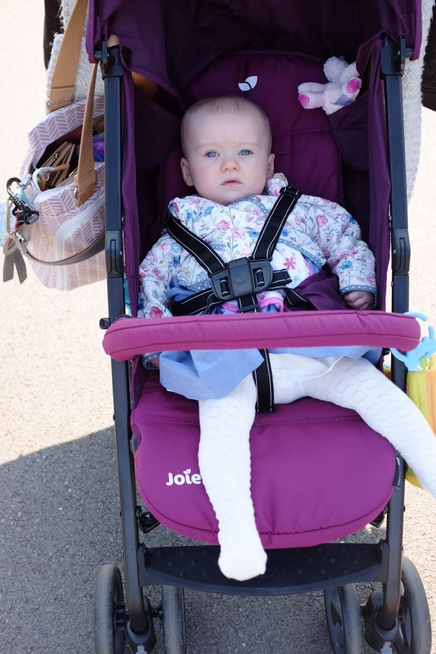 Joie Baby Nitro LX Stroller Review